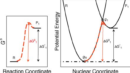 Marcus Theory Predictions For The Variation With Cell Potential Δ E
