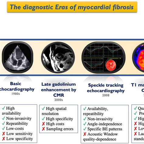 Typical Patterns Of Myocardial Fibrosis In Different Cardiomyopathies