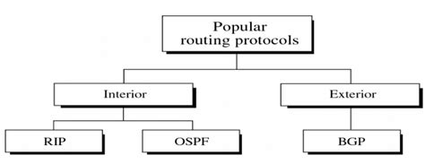 컴퓨터 네트워크 Routing Protocols In Internet
