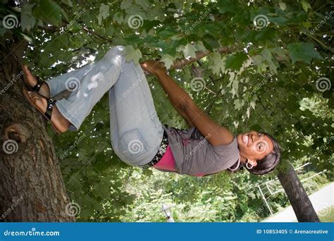 Hanging From A Tree Stock Image Image Of Black Branch