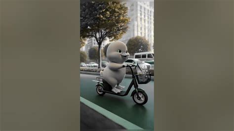 সাইকেল চালক বিড়াল Cat Doddles Youtube