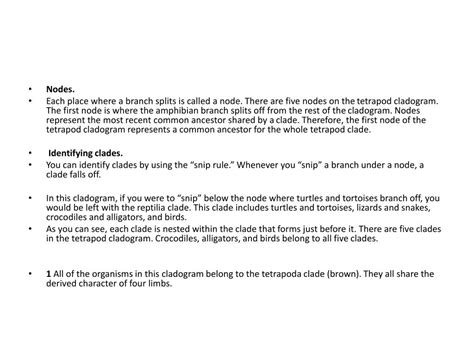 Ppt What ´s A Cladogram Powerpoint Presentation Free Download Id5676503