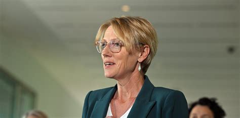 Politics With Michelle Grattan ‘teal Zoe Daniel On