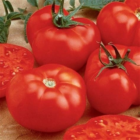 Beefmaster Tomato Beefmaster Tomato Seeds Reimer Seeds