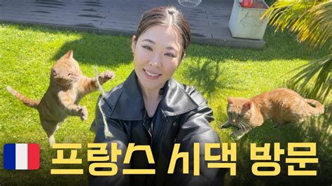 1편 🇫🇷 프랑스 시댁에서의 소소한 일주일 바스크 감성 여행 브이로그 🐑 Youtube