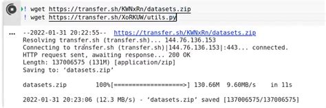 preprocesado de texto para nlp guía para python