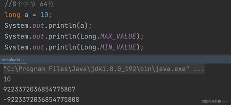 Java数据类型与变量 短整型变量 双精度型变量 CSDN博客