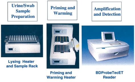 Figure 1 From Strand Displacement Amplification And Homogeneous Real