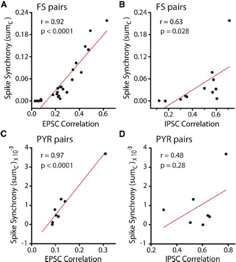 Relationship Between Spike And Synaptic Synchrony A Spike Synchrony Download Scientific