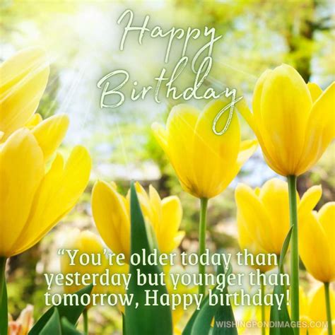 Happy Birthday Tulips Flowers Images Wishing Pond Images