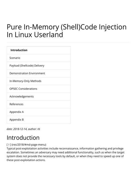 Shell Code Injection Pdf Computer Science Software Development
