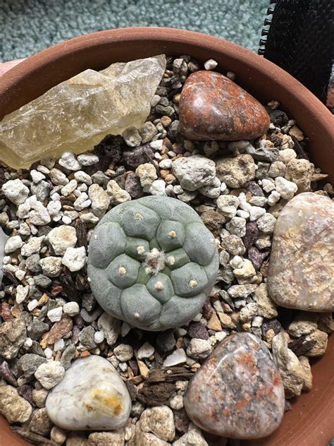 Very Exciting Moment My Mr Baso Fricii From U Lophoafro Is Starting