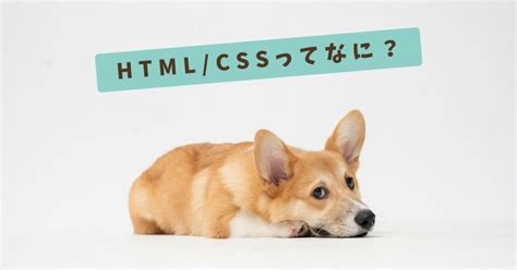 HTML CSSとは初心者向けに基礎を分かりやすく解説