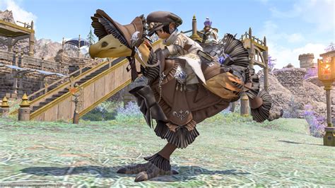 Classic And Cute Chocobo Armor “mandervillian Barding” 【ff14】norirow
