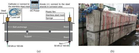 Experimental Setup Of Coupled Sustained Load And Corrosion Yang Et Al