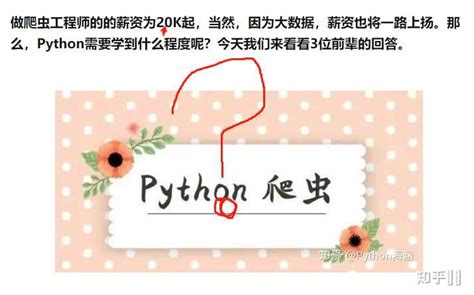 2021年自学python爬虫有前途吗？能找到工作吗？ 知乎