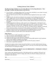 Laboratory Safety Guidelines Rules Attire And Practices For Course Hero