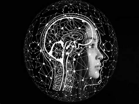 ‘brain Like Computing Possible At Molecular Level Reveal Scientists Impact Lab