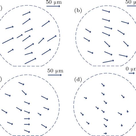 displacement vector fields for initial bond experiments at partially
