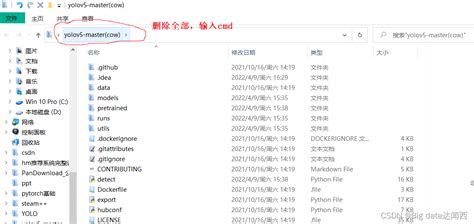 简单快速建立pytorch环境yolov5目标检测 模型跑起来超简单）pytorch Yolo Csdn博客