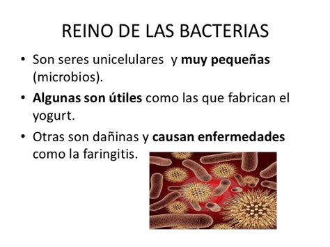 Maestro San Blas Clasificación De Los Seres Vivos