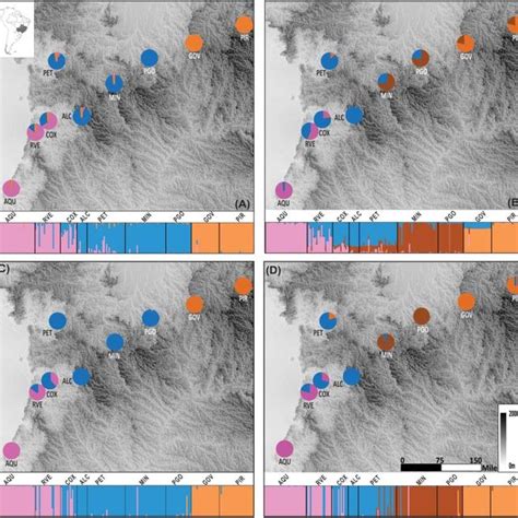 Population Graphs Inferred By Treemix Using Microsatellite Data Branch