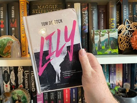 Lily Tom De Cock Zon En Maan