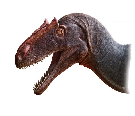 New Species Of Allosaurus Discovered In Utah Unews