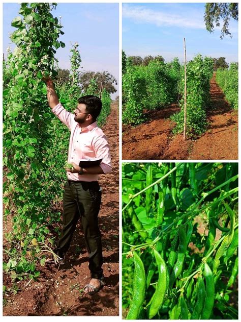 Piyush Patil On Linkedin Fieldobservation Aginnovation