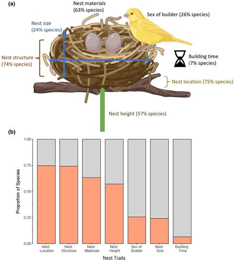 Nest Traits For The Worlds Birds Sheard 2024 Global Ecology And