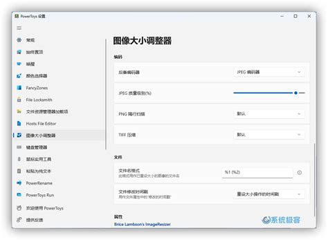 如何在 Windows 或 macOS 中快速调整图片大小 系统极客