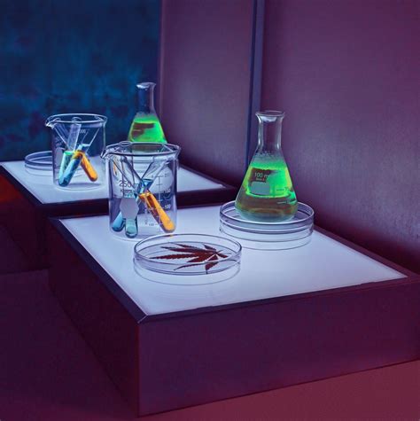 HHC Vs THC What Is HHC Does It Get You High