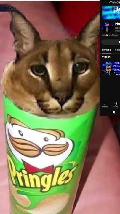 Critica A Phamton Youtube