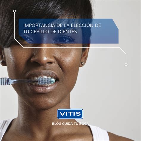Vitis 👩‍⚕️ ¿sabes Cómo Elegir Tu Cepillo De Dientes