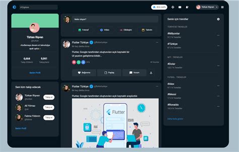 GitHub Turkan Risvan Flutter IOS Web UI