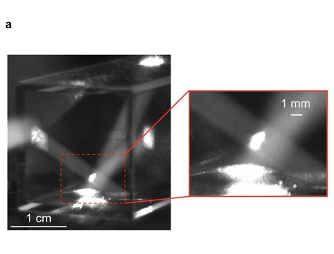Cold Atoms The Future Of Computing And Timekeeping Nanotechnology World Posted On The Topic