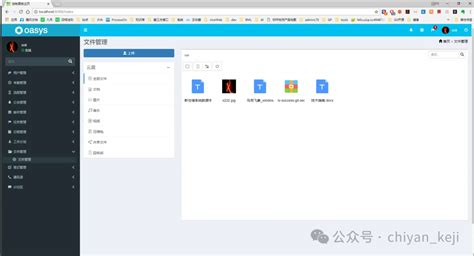 开源 一个以提高办公效率为核心的开源oa办公自动化系统 极客之音