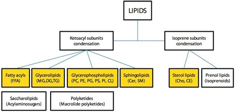 Lipid Separation UPLC System For The Separation Of Complex Biological Total Lipid Extracts Waters