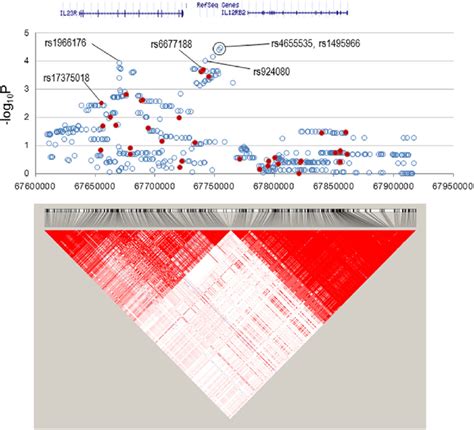Manhattan Plot For The Il23r Il12rb2 Locus All Imputed Solid Red