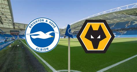 Brighton Vs Wolves Uxiaxataan