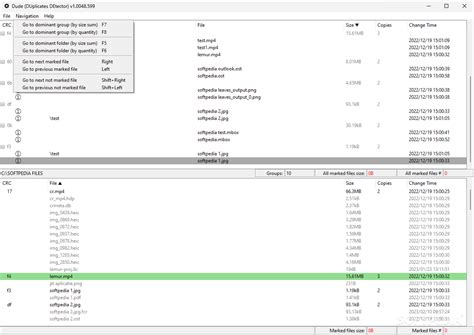 Dude Duplicates Detector Download Softpedia