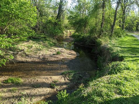 River Small Tree Free Photo On Pixabay Pixabay