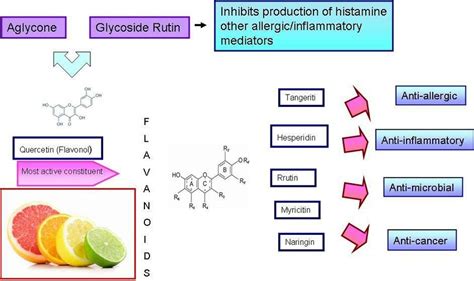 Basic Structure Of Flavonoids Found In Citrus Fruits And Their Function Download Scientific