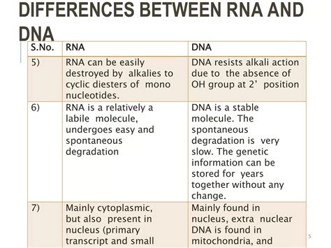 Structure And Function Of Rna Pptx