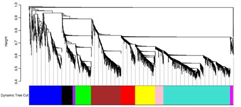 Identification Of Gene Coexpression Modules Of All Samples Data 24