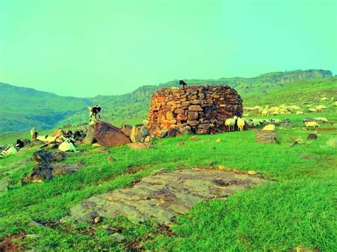 گو دو شیہا عشقیں مناں یکھے وطن دومئ زواں