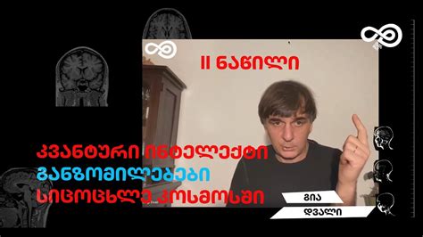 თავის დრო 40 ნაწილი Ii სიცოცხლე კოსმოსში კვანტური ინტელექტი დამატებითი განზომილებები გია