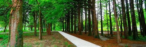 წყალტუბოს შესახებ