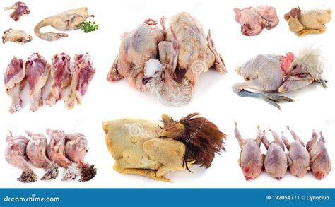 Meat And Poultry Identification At Raymond Irwin Blog