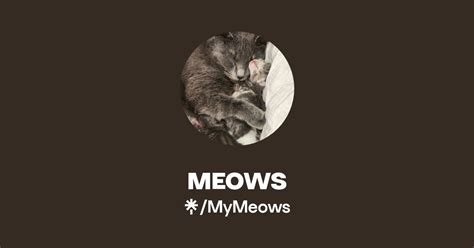 Meows Instagram Tiktok Linktree